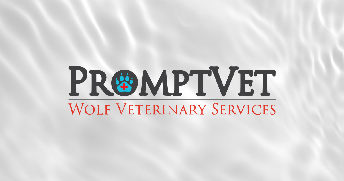 Home | Prompt Vet Springfield, Illinois Home | Prompt Vet Springfield, Illinois